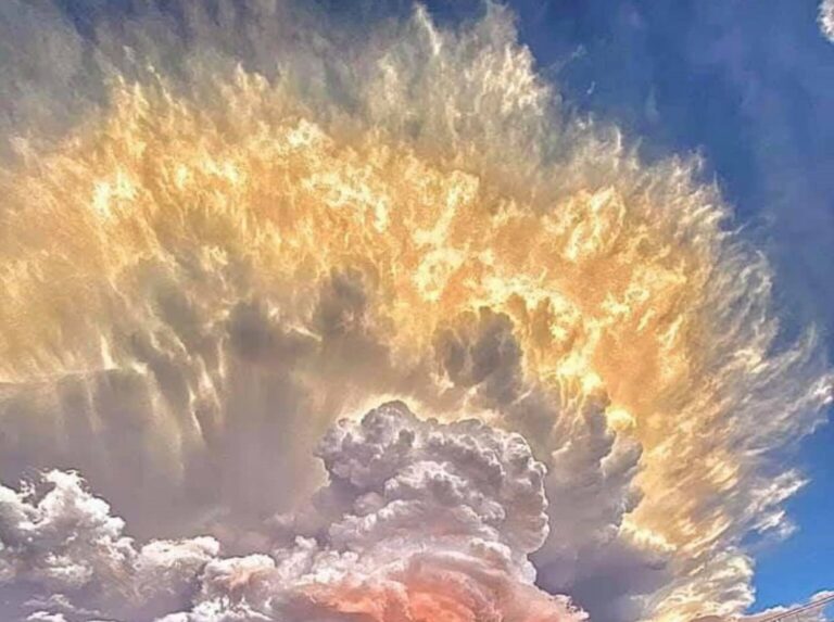 Celebrate Jesus Resurrection! – Gill Ministries